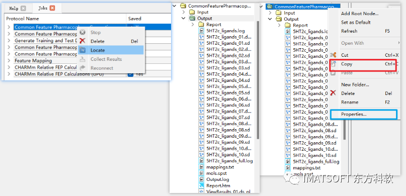 Discovery Studio软件使用常见Q&A，值得收藏！-BIOVIA Discovery Studio-生物/化学/分子仿真分析-软服之家